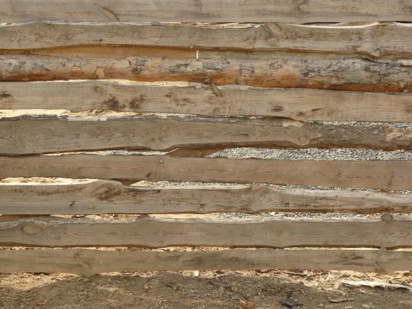 rough natural plank textue 0006 - Texturelib